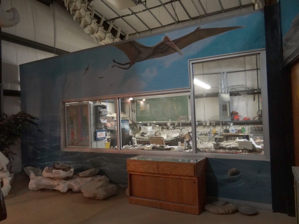 Exhibits - The Montana Dinosaur Center