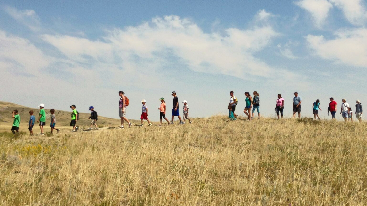 The Montana Dinosaur Center | Bynum, Montana